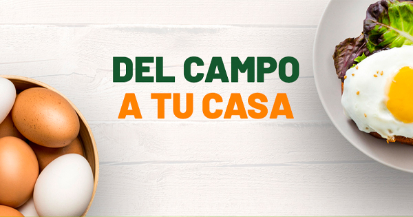 HUEVOS SUPER EXTRA BLANCO CAJA DE 5 BANDEJAS (20 UNI) - 100 UNIDADES ...